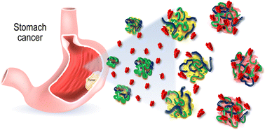 Interaction of polyelectrolyte-shell cubosomes with serum albumin for ...