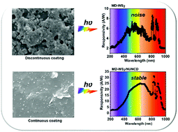 Reducing noise current in exfoliated WS2 nanosheets using an ultra ...