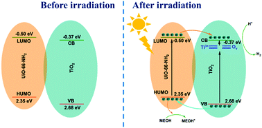 Type II heterojunction promotes photoinduced effects of TiO2 for ...