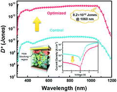 Organic photodetectors with high detectivity for broadband detection ...
