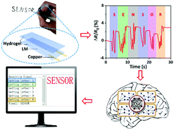 Stretchable, sensitive, flexible strain sensor incorporated with ...