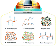 Emerging polymer electrets for transistor-structured memory devices and ...