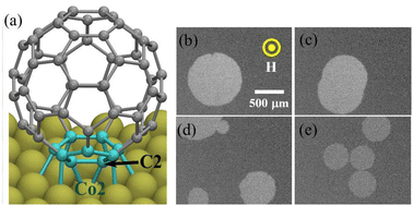 Effect of fullerene on the anisotropy, domain size and relaxation of a ...