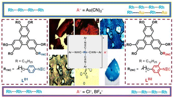 Mesogenic [Rh(L)4](A) complexes form mesophases with RhI⋯RhI-containing ...