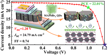 A synergistic co-passivation strategy for high-performance perovskite solar cells with large ...