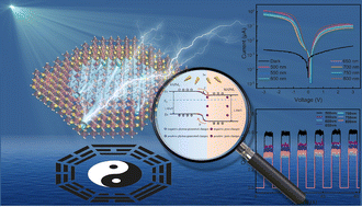 A high-performance self-powered photodetector based on a concentric ...