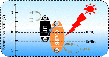 Two-dimensional black phosphorus-modified Cs2AgBiBr6 with efficient ...