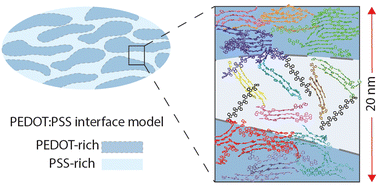 Morphology of conducting polymer blends at the interface of conducting ...