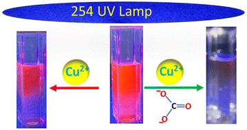 CO32− ion-induced Cu2+ ion determination using DPA capped-LaF3:Eu3 ...