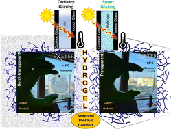 An optimal climate-adaptable hydrogel-filled smart window for the ...
