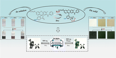 Black hydrochromic fluoran molecular switches: substituent positional ...