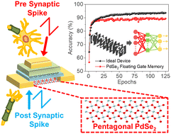 A pentagonal 2D layered PdSe2-based synaptic device with a graphene ...