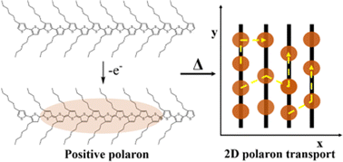 Probing the nature of charge carriers in one-dimensional conjugated ...
