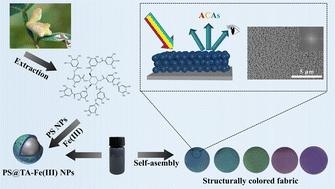 TA–Fe(iii) complex coated PS nanospheres for non-iridescent structural ...