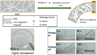 Preparation and characterization of transparent polymeric electrolyte ...