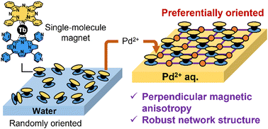 Construction of a two-dimensional metal–organic framework with ...