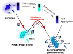 A time-resolved and visualized host–guest self-assembly behavior controlled through kinetic ...