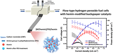 Flow-type hydrogen peroxide fuel cells with hemin-modified buckypaper ...