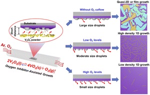 Synthesis, metal–insulator transition, and photoresponse characteristics of VO2 nanobeams via an ...