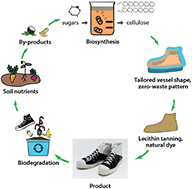 Microbial nanocellulose biotextiles for a circular materials economy ...