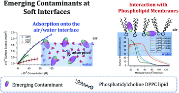 Emerging environmental contaminants at the air/aqueous and biological ...