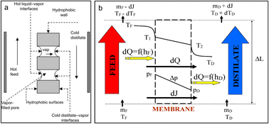 Biofouling phenomena in membrane distillation: mechanisms and ...