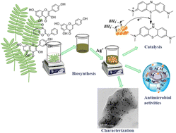 Catalytic degradation of methylene blue dye and antibacterial activity of biosynthesized silver ...