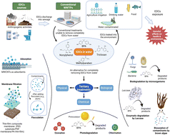Environmental persistence, detection, and mitigation of endocrine ...