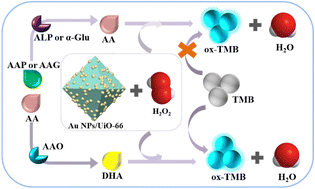 Self-enhanced peroxidase-like activity in a wide pH range enabled by ...