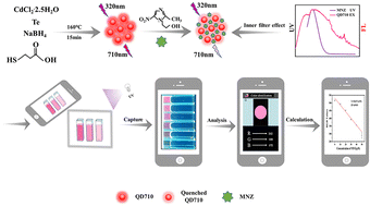 Inner filter effect-based near-infrared fluorescent probe for detection ...