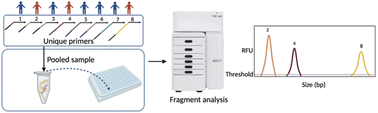 Efficient large-scale screening of viral pathogens by fragment length ...