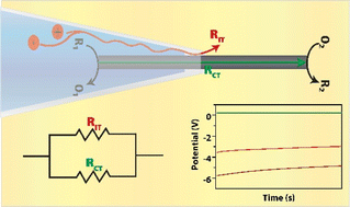 On the mechanism of the bipolar reference electrode - Analyst (RSC ...