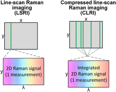 A critical evaluation of compressed line-scan Raman imaging - Analyst ...