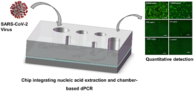 An integrated microfluidic chip for nucleic acid extraction and ...