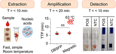 A dual paper-based nucleic acid extraction method from blood in under ...