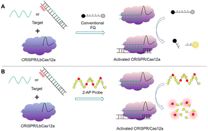 Sensing platform for nucleic-acid detection based on a 2-aminopurine ...