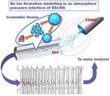From droplets to ions: a comprehensive and consecutive ion formation ...