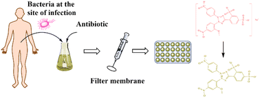 A rapid screening platform for antibiotic susceptibility testing based ...