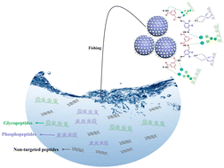Self-assembly of hydrazide-linked porous organic polymers rich in ...