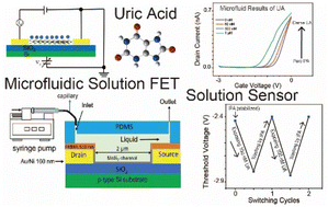 A microfluidic approach for the detection of uric acid through ...