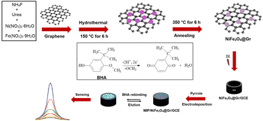 A novel electrochemical detection method for butylated hydroxyanisole ...