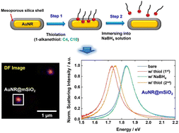 In situ reversible tuning of chemical interface damping in mesoporous ...