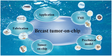 Breast tumor-on-chip: from the tumor microenvironment to medical ...