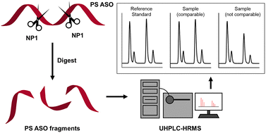 Establishing stereochemical comparability in phosphorothioate ...