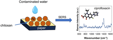 Surface-enhanced Raman scattering detection of thiram and ciprofloxacin ...