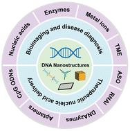 DNA nanotechnology-based nucleic acid delivery systems for bioimaging ...