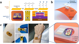 An integrated wearable sticker based on extended-gate AlGaN/GaN high ...