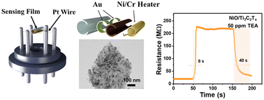 Rational design of NiO/Ti3C2Tx nanocomposites with enhanced ...