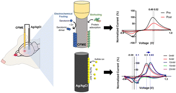 Understanding the different effects of fouling mechanisms on working ...