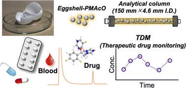 Evaluation of separation performance for eggshell-based reversed-phase HPLC columns by ...